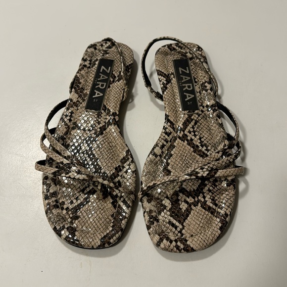 Zara | Shoes | Zara Snake Sandals | Poshmark
